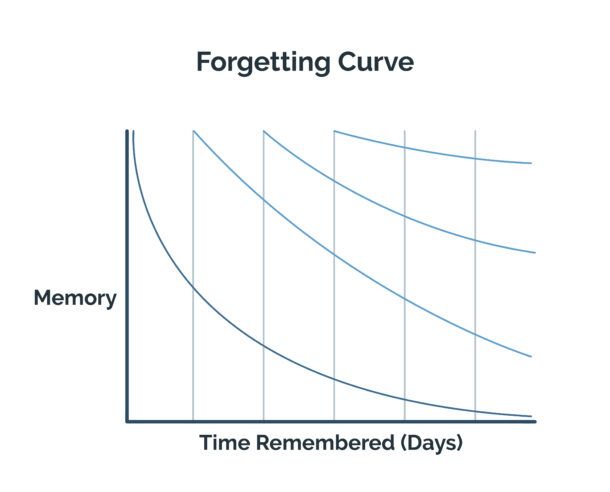 7 Evidence-Based Study Strategies (And How to Use Each)