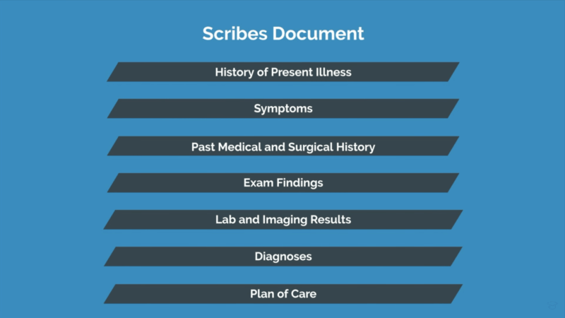 How to Become a Medical Scribe—Is It the Right Extracurricular For You ...