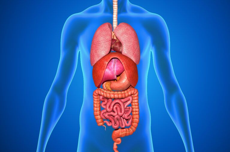 8 Internal Medicine Specialties Explained | Med School Insiders