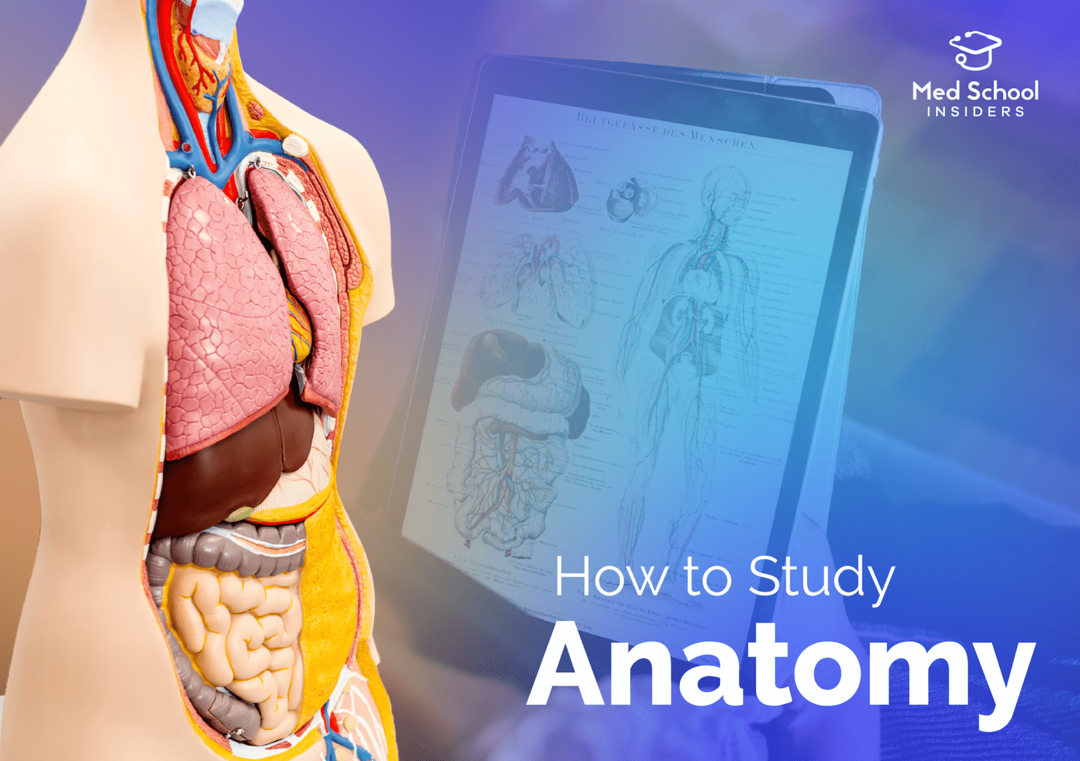 How to Study Anatomy in Med School | Med School Insiders