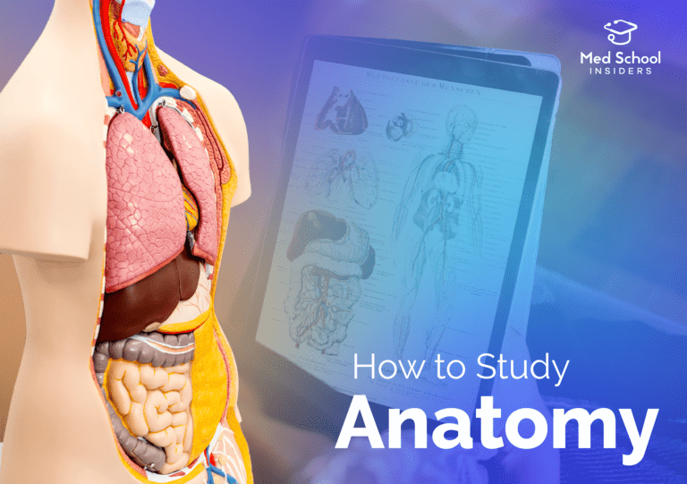 How to Study Anatomy in Med School | Med School Insiders